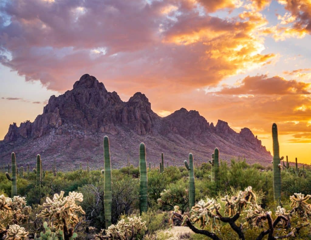 Legal Separation Attorneys Serving Tucson Arizona